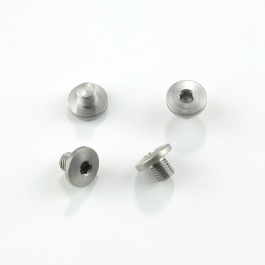 (4) Hex Head Short Screws - Stainless