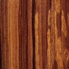 Detective Special, Pau Ferro